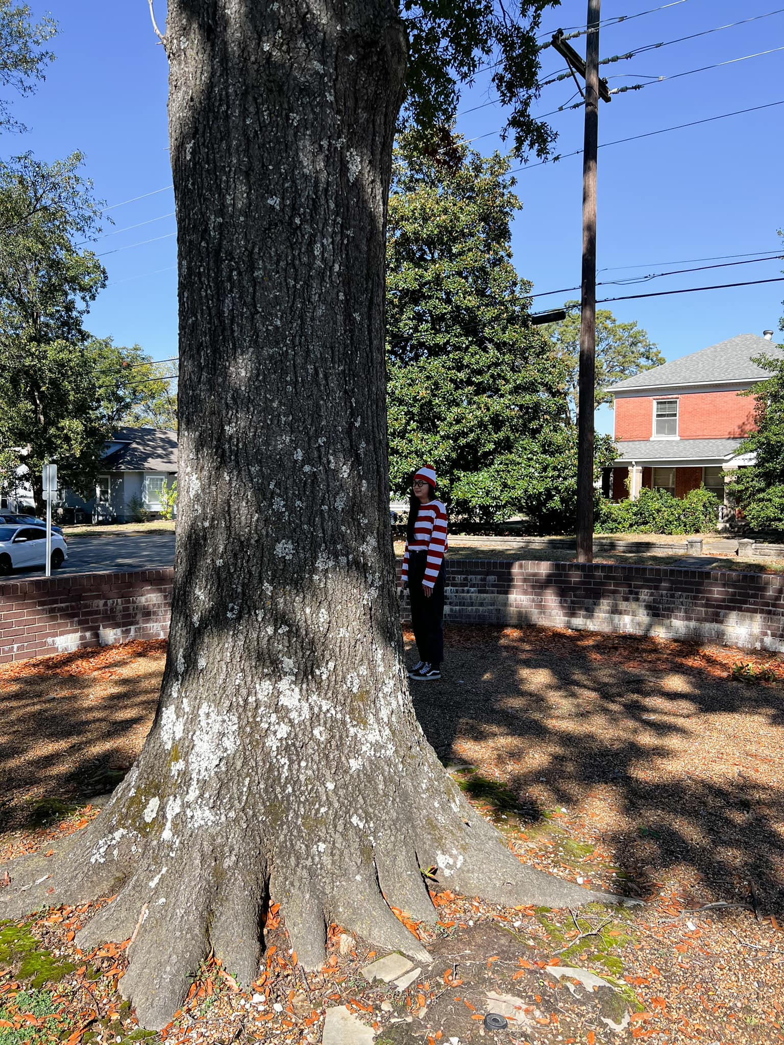 CRAIGHEAD COUNTY JONESBORO PUBLIC LIBRARY - Jonesboro AR - Hours ...