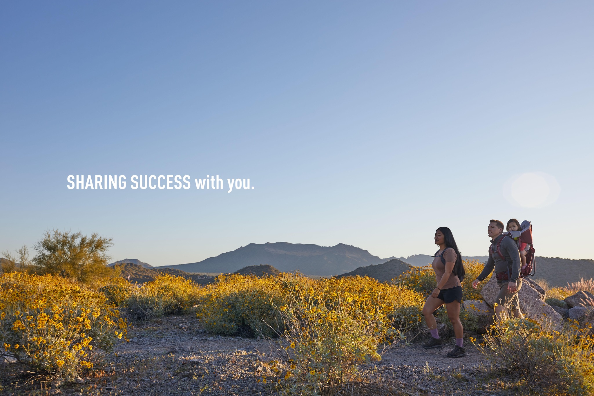 DESERT FINANCIAL CREDIT UNION - Payson AZ - Hours, Directions, Reviews ...