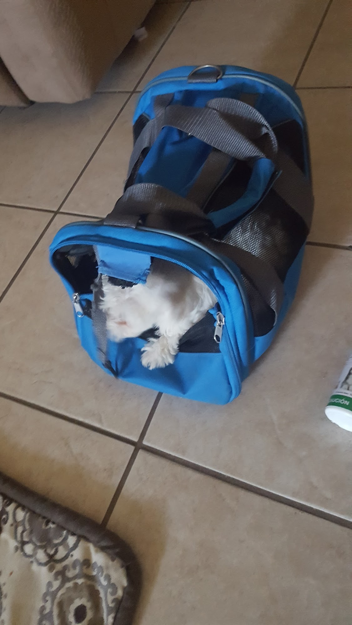 O'REILLY AUTO PARTS - 2330 S 4th Ave, Yuma AZ - Hours, Directions ...