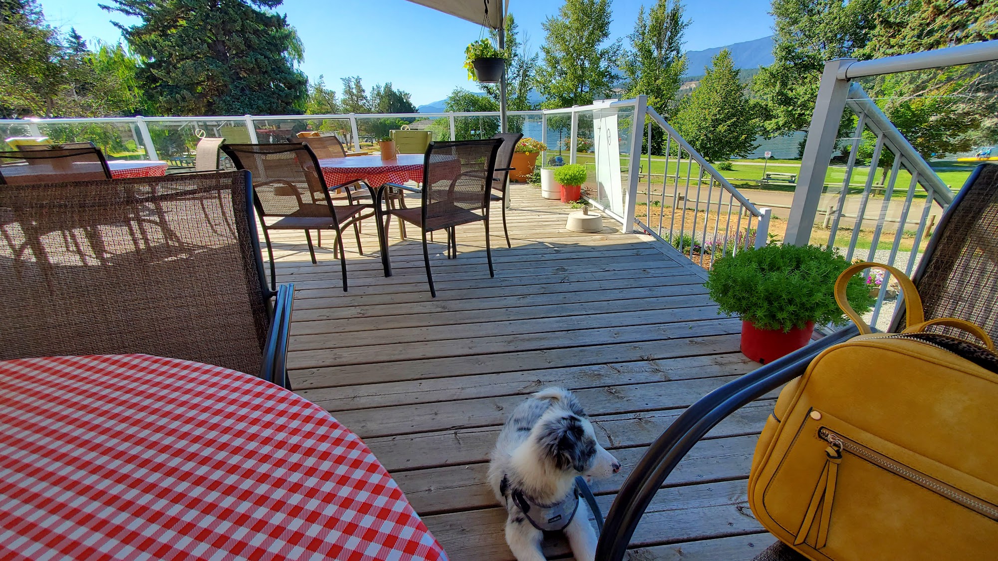 The Bush Cafe, Invermere - Menu, Reviews, Photos (19) - Restaurantji