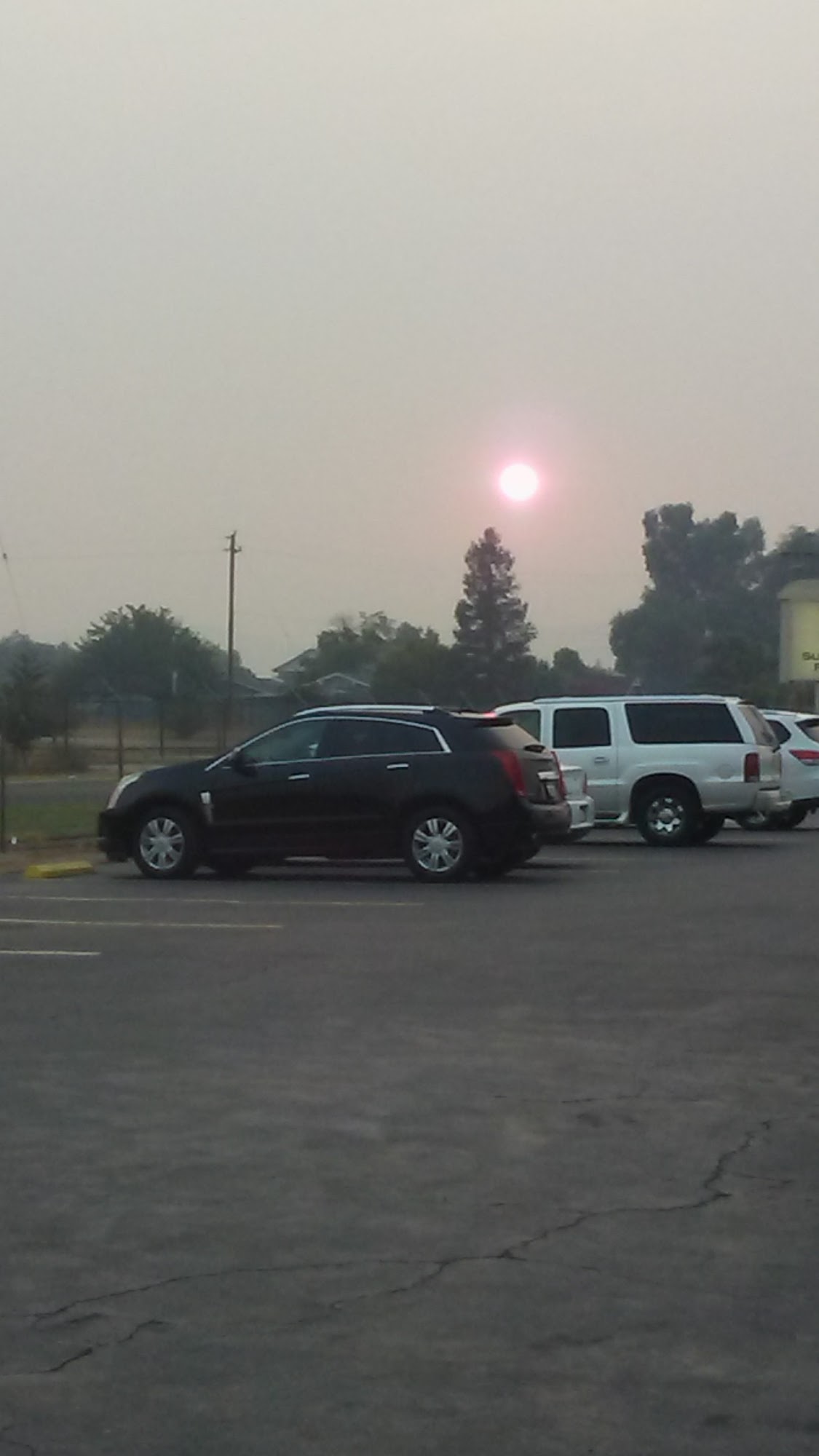 SUN VALLEY PACKING - Reedley CA - Hours, Directions, Reviews - Loc8NearMe