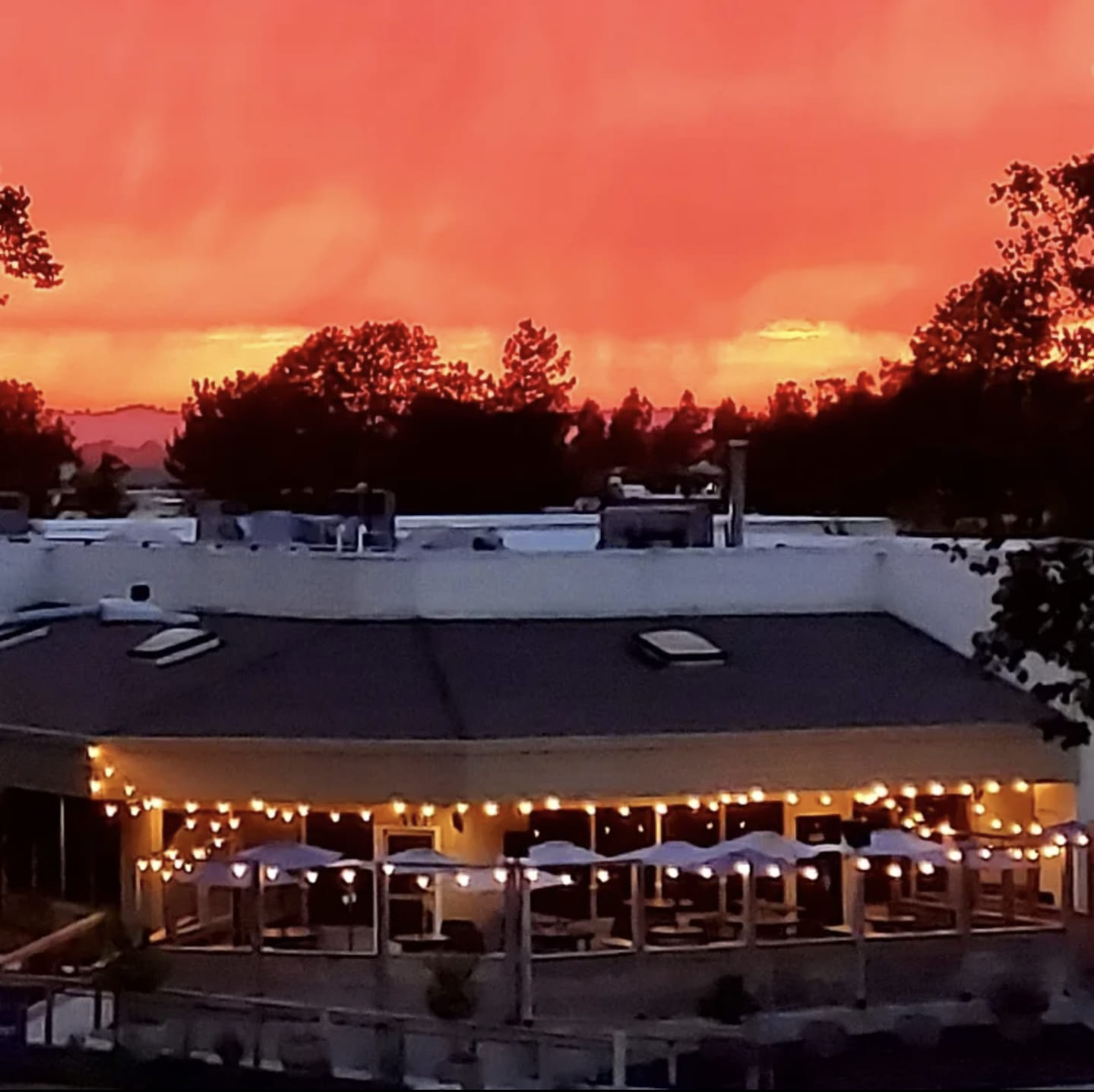 THE 25 BEST Restaurants in Rohnert Park - With Menus, Reviews, Photos ...