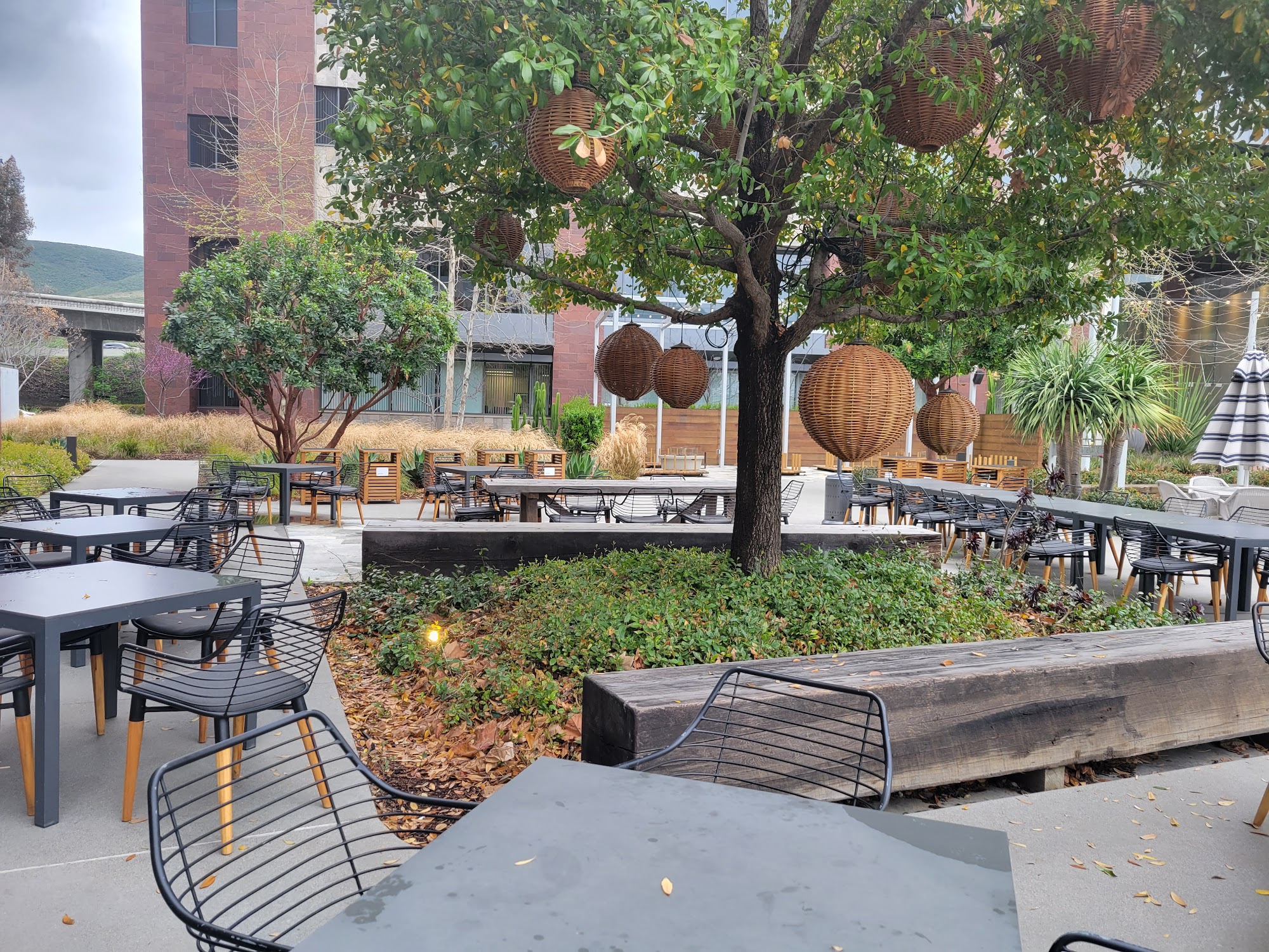 Crafted Culture, San Diego - Menu, Reviews (161), Photos (43 ...