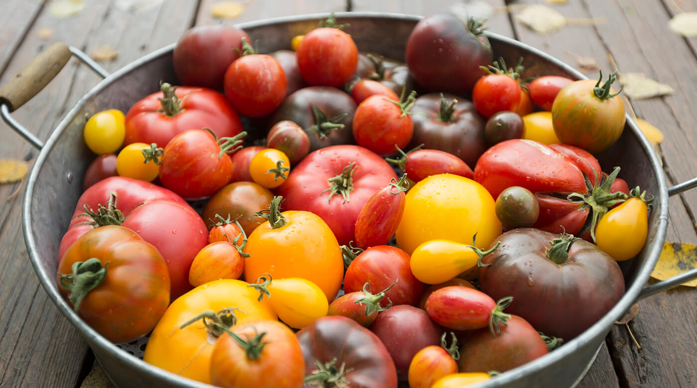 SHAMROCK FOODS - Denver CO - Hours, Directions, Reviews - Loc8NearMe