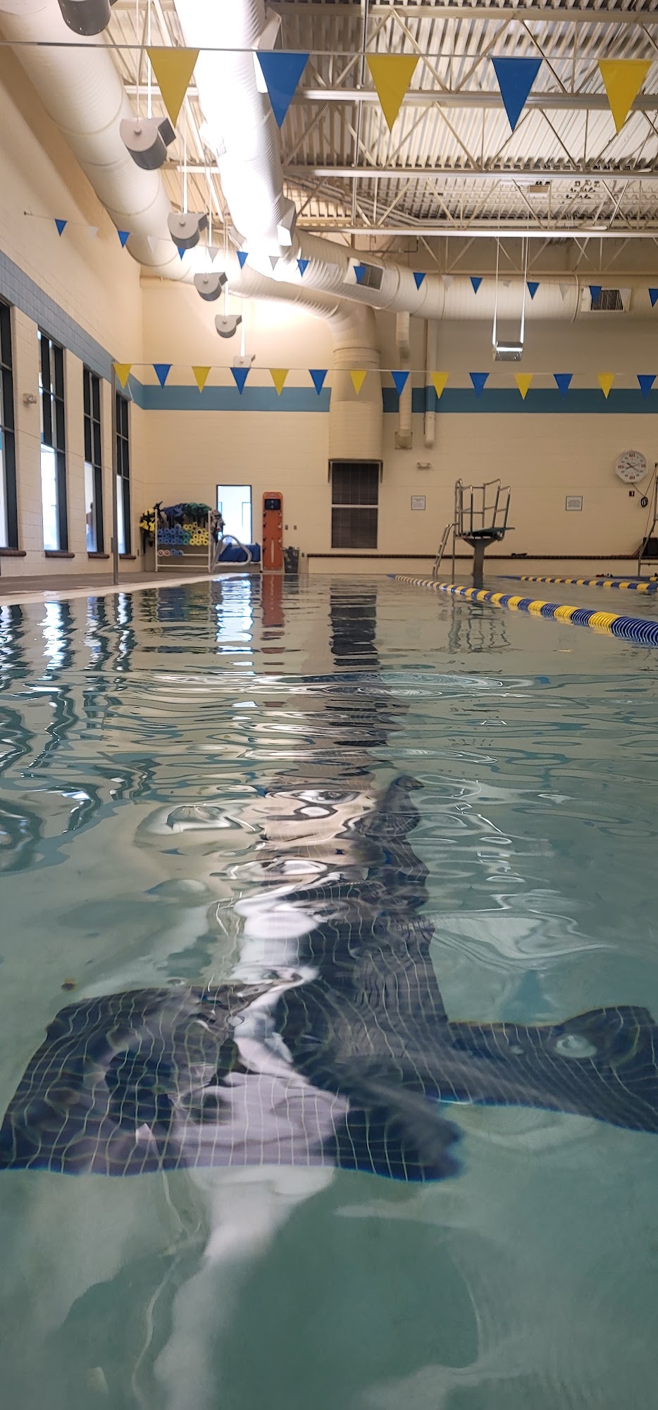 WHEAT RIDGE RECREATION CENTER - Wheat Ridge CO - Hours, Directions ...