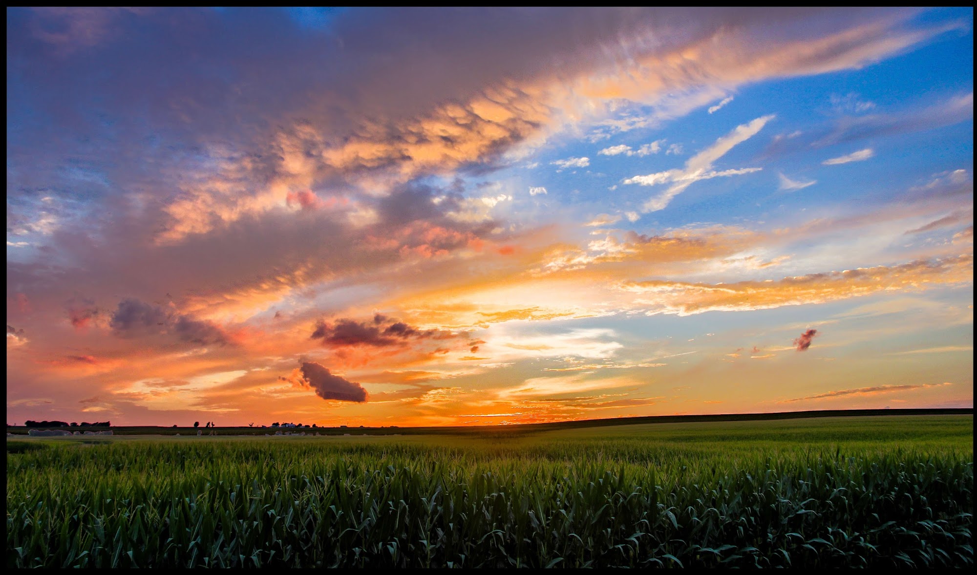 MAPLEHURST FARMS, INC. - Rochelle IL - Hours, Directions, Reviews ...