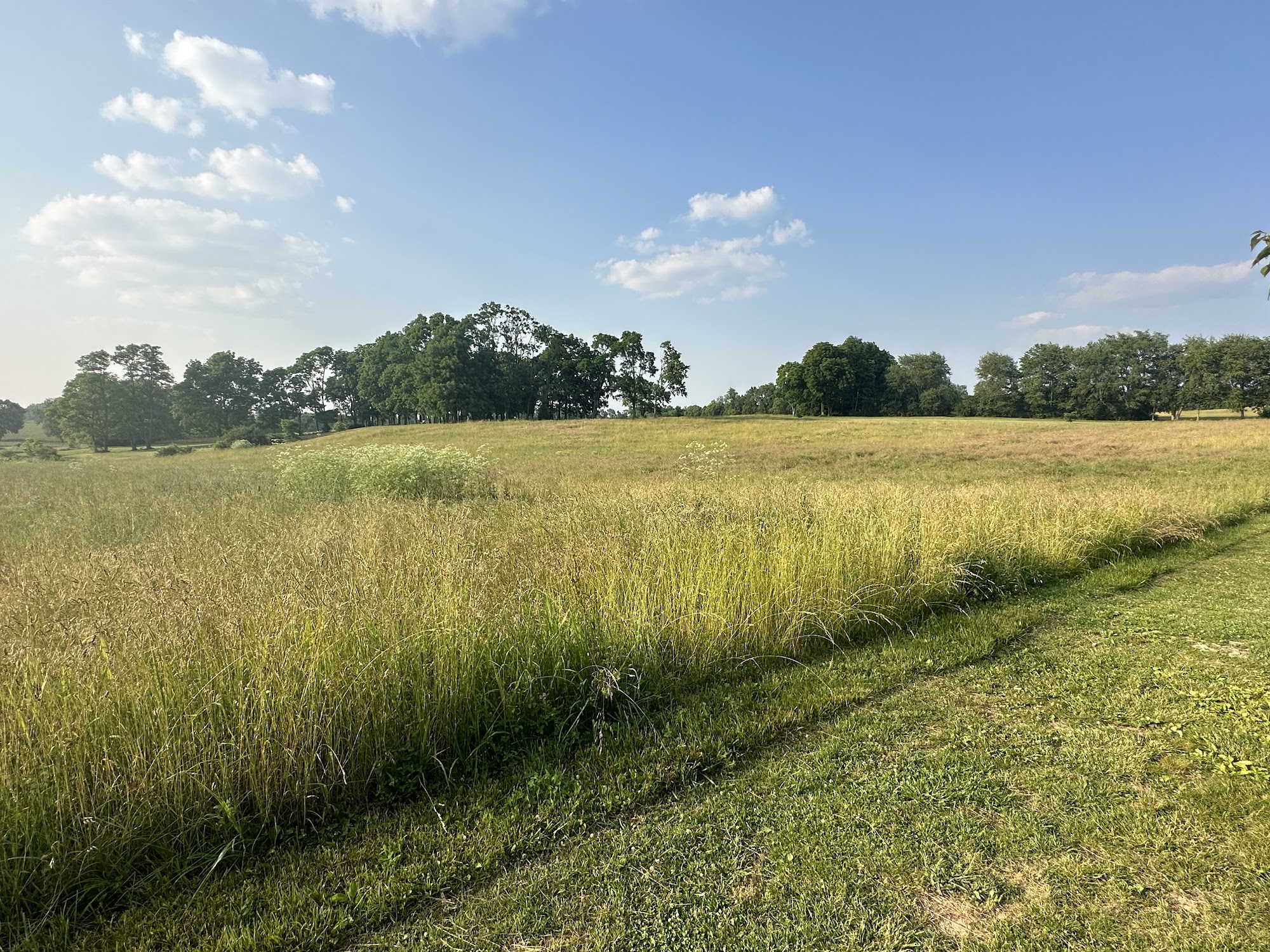 FALLING SPRINGS CENTER - Versailles KY - Hours, Directions, Reviews ...