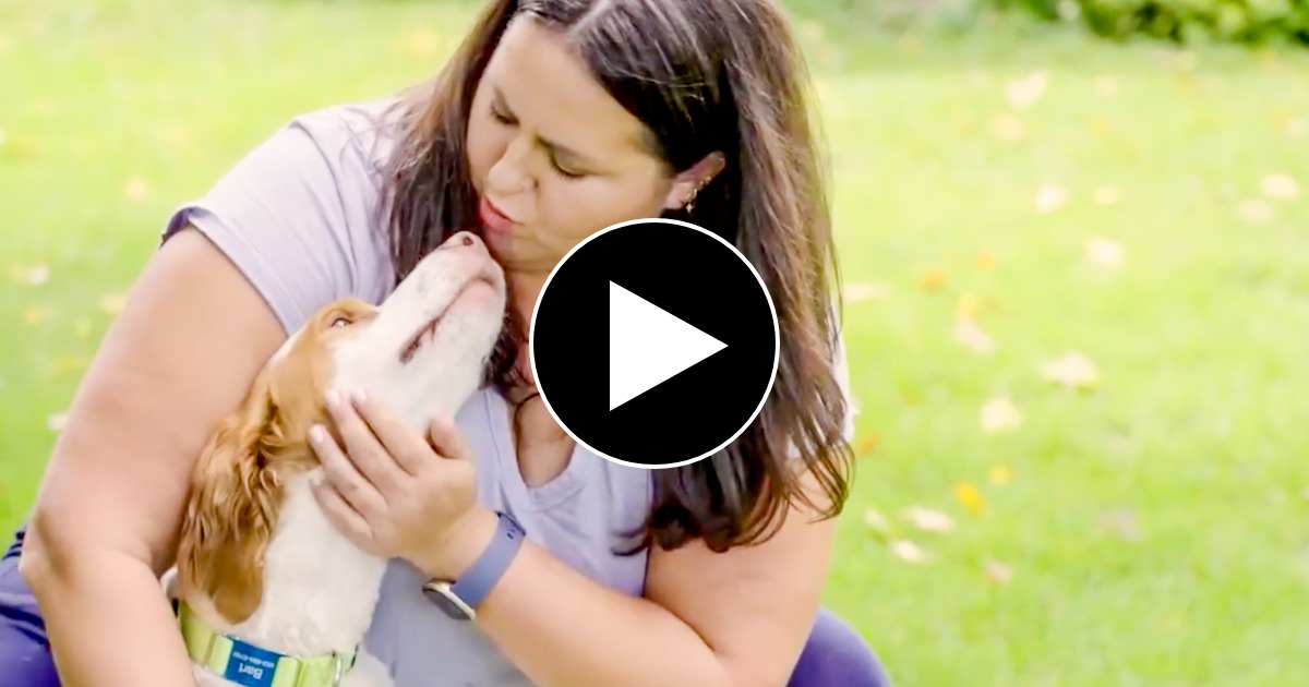 ALLINA HEALTH BUFFALO CLINIC - Buffalo MN - Hours, Directions, Reviews ...