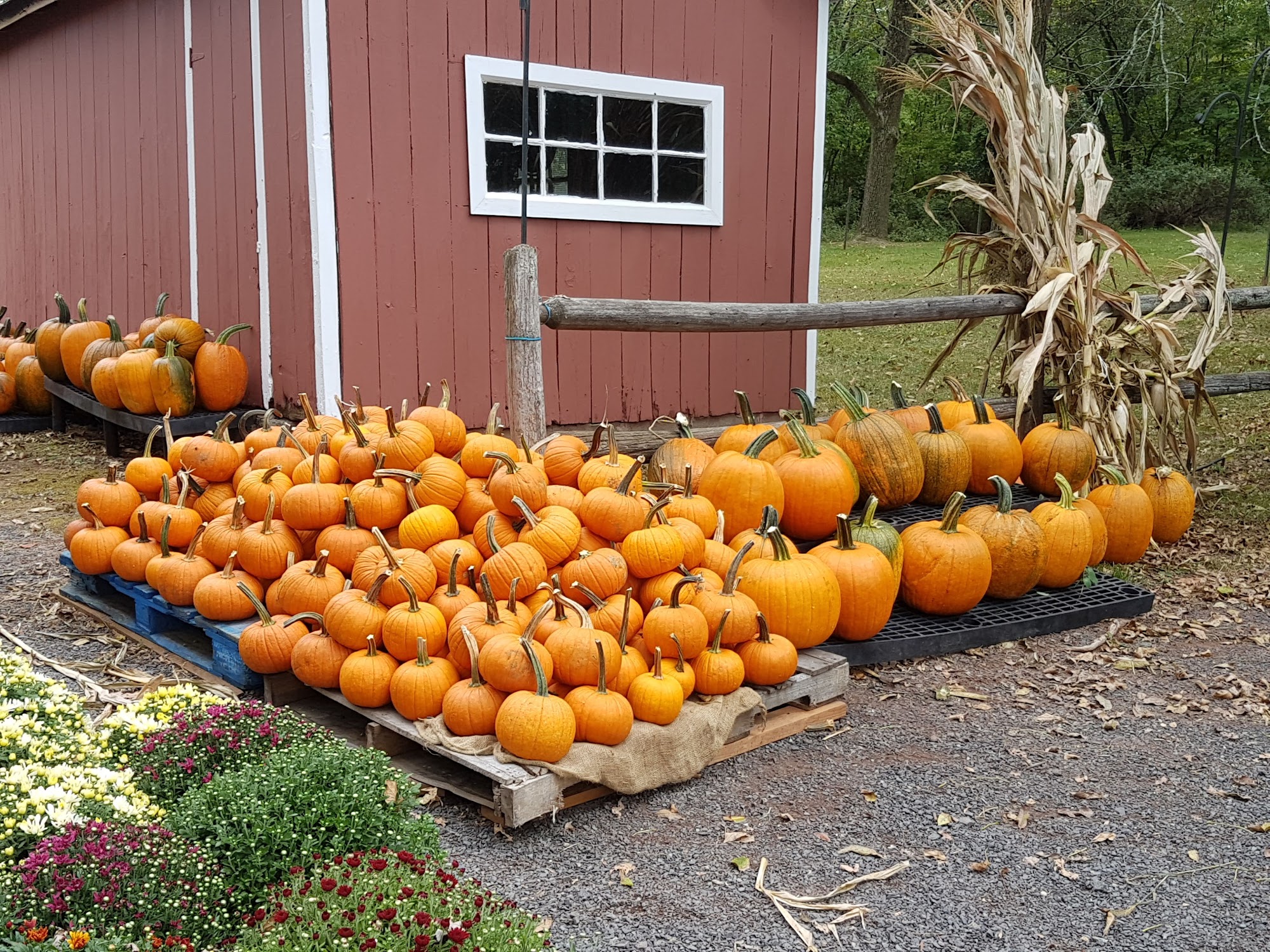 MELICK'S TOWN FARM FARM MARKET - Bridgewater NJ - Hours, Directions ...