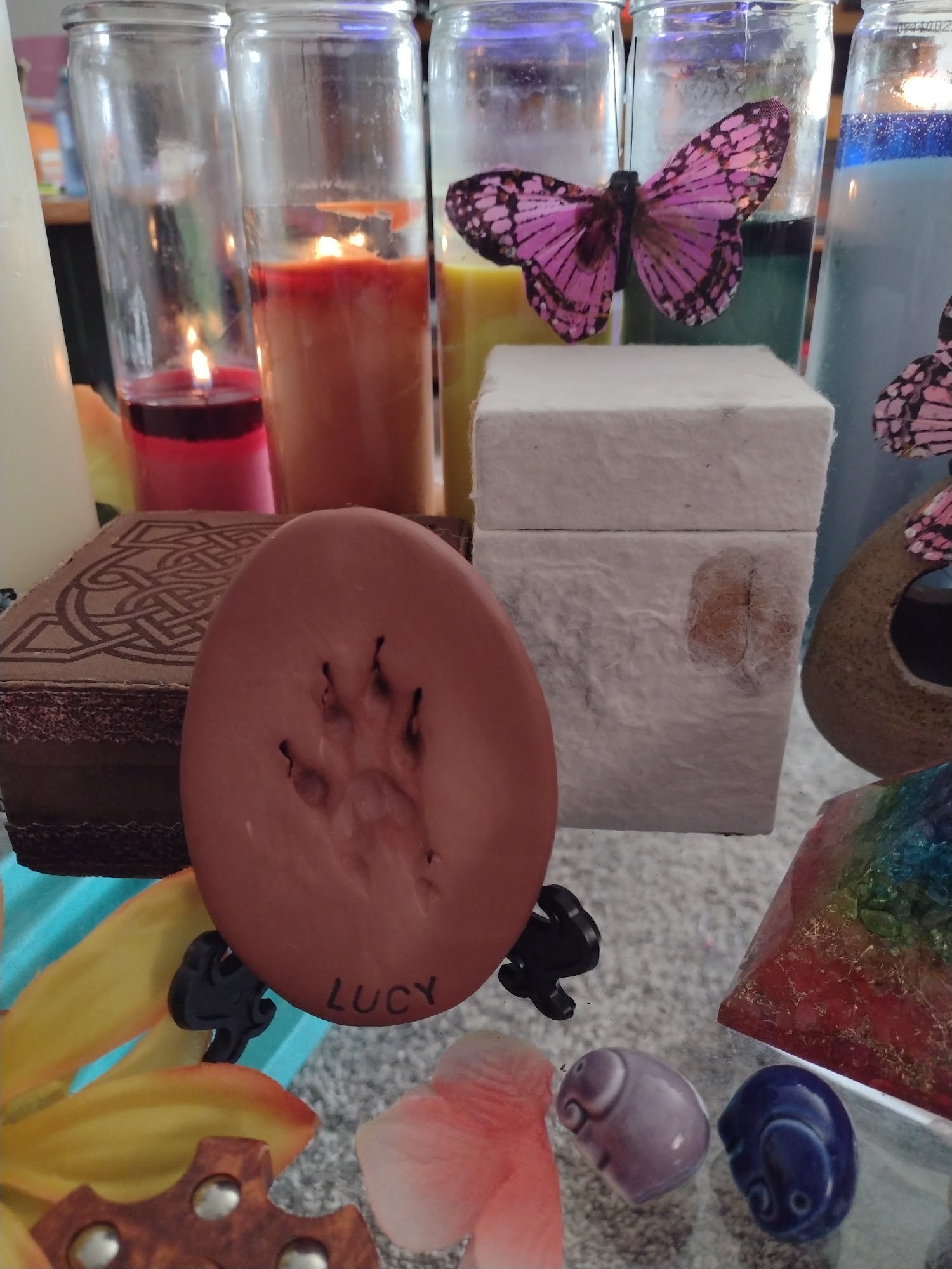 LASTING PAWS PET MEMORIAL SERVICES - Albuquerque NM - Hours, Directions ...