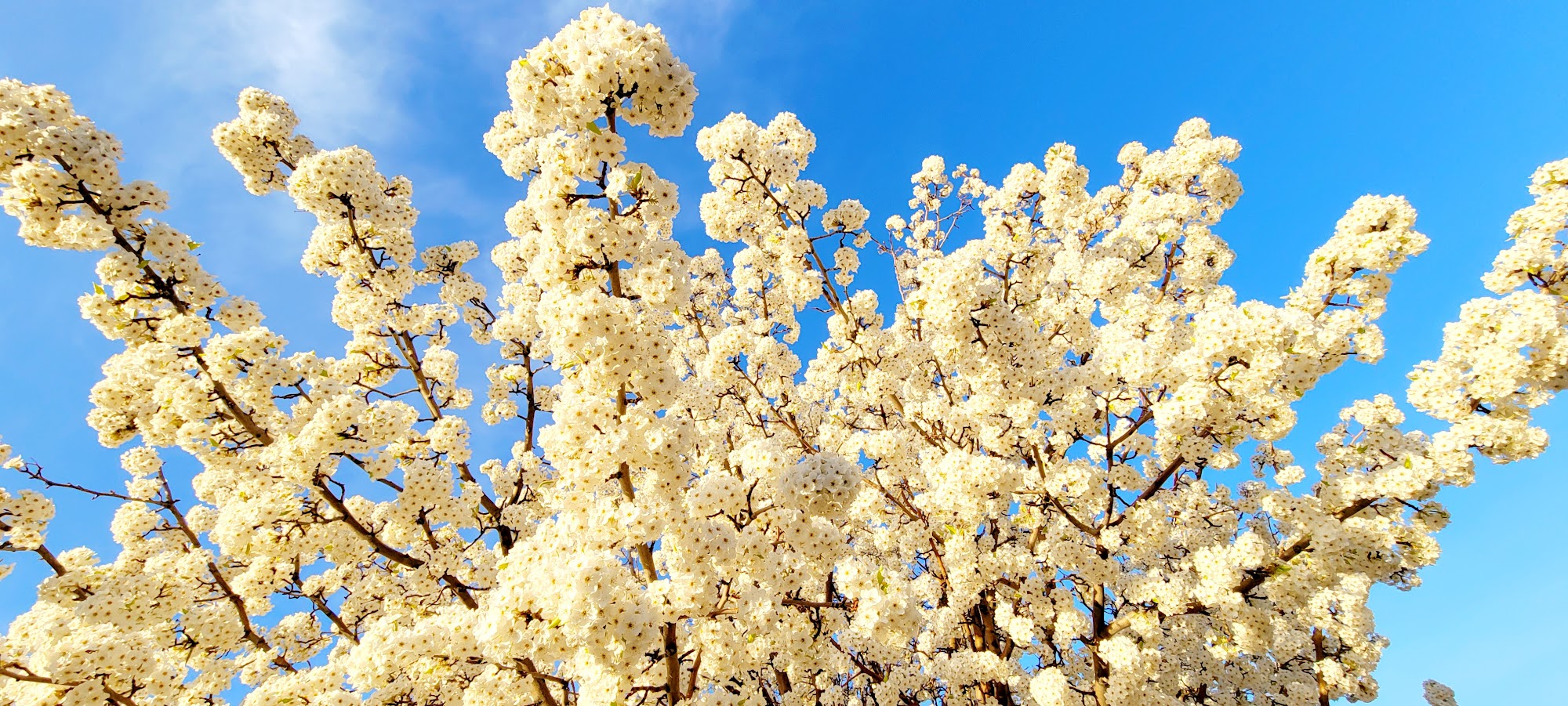 PRESBYTERIAN FAMILY MEDICINE IN RIO RANCHO ON HIGH RESORT BLVD - Rio ...