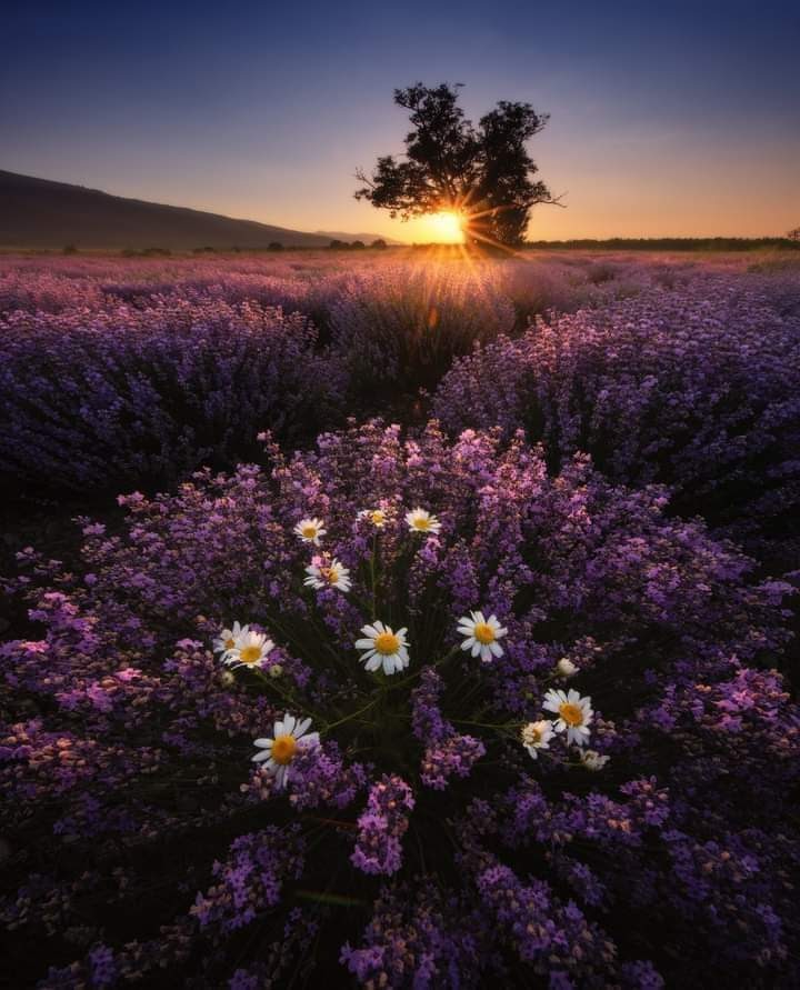 PROSCAN IMAGING EASTGATE - Cincinnati OH - Hours, Directions, Reviews ...