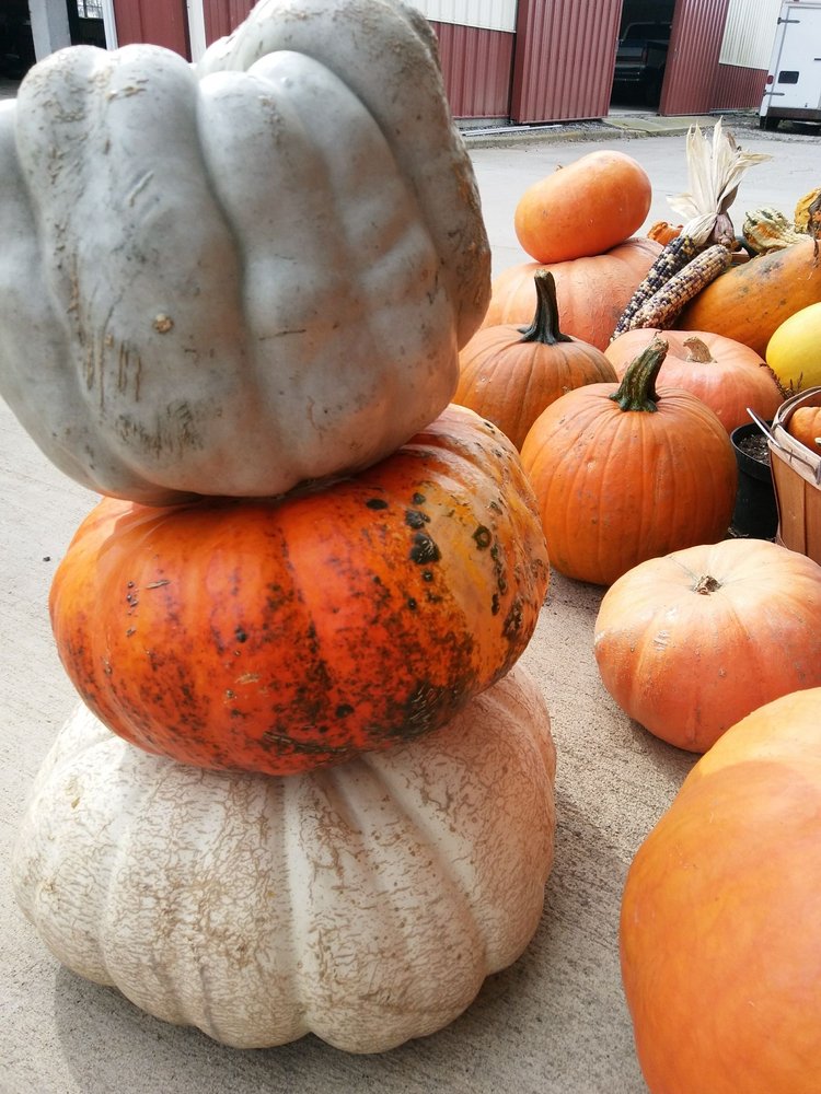 GARVER FAMILY FARM MARKET - Middletown OH - Hours, Directions, Reviews ...