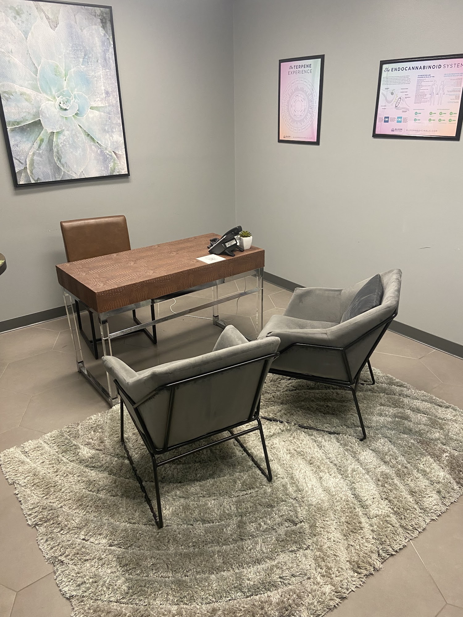 BLOOM MEDICINALS PAINESVILLE MEDICAL MARIJUANA DISPENSARY - Painesville ...