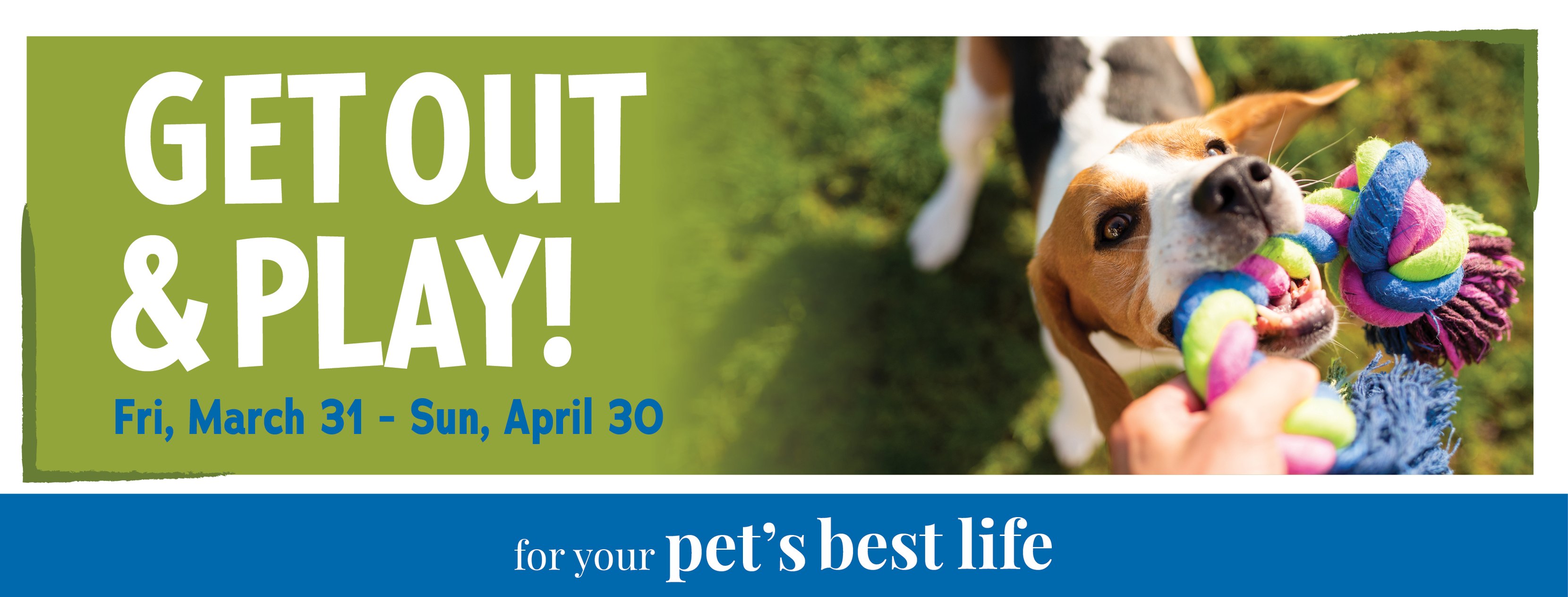 REN'S PETS - Kitchener ON - Hours, Directions, Reviews - Loc8NearMe