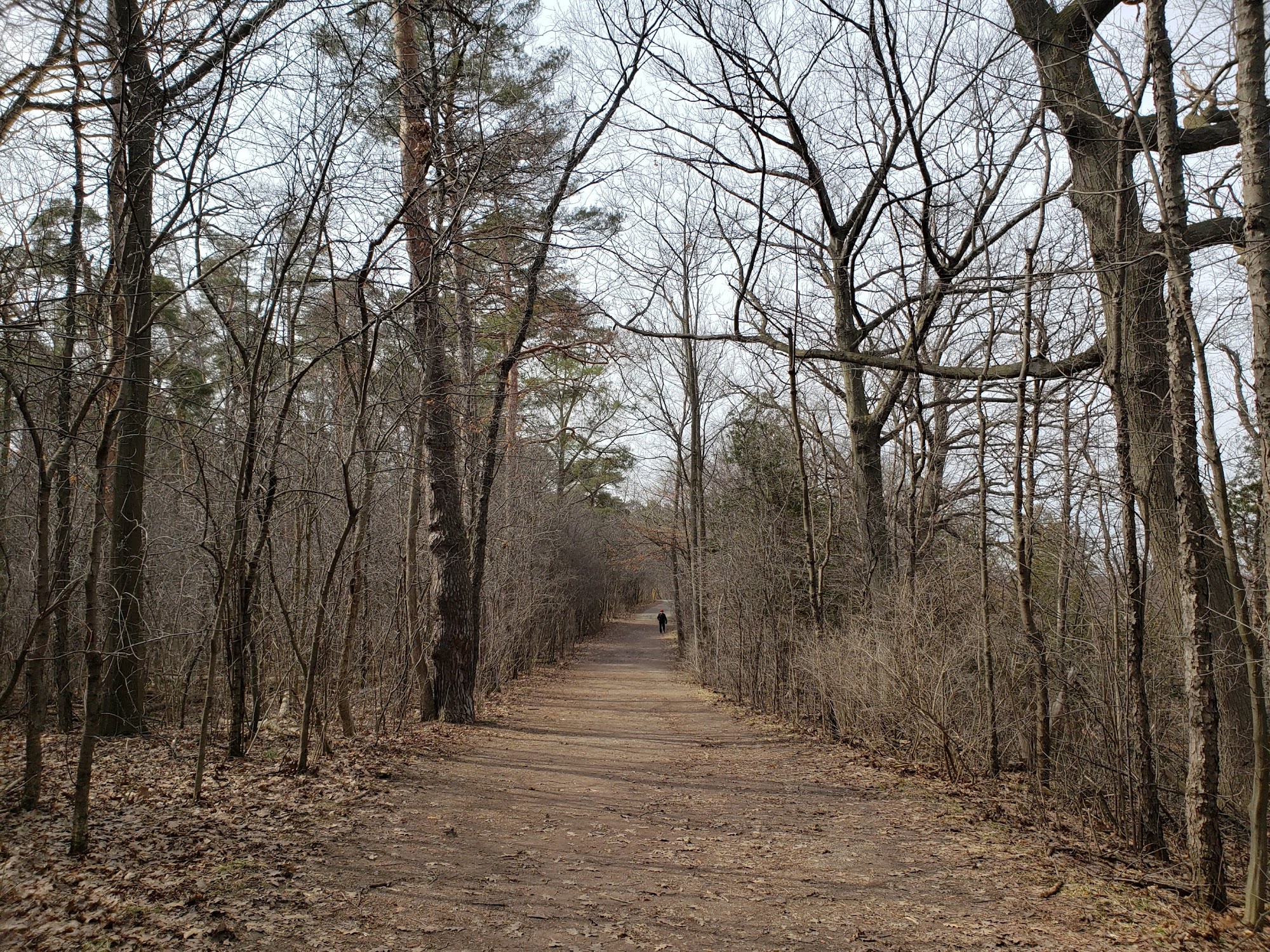 RIVER GROVE COMMUNITY CENTRE - Mississauga ON - Hours, Directions ...