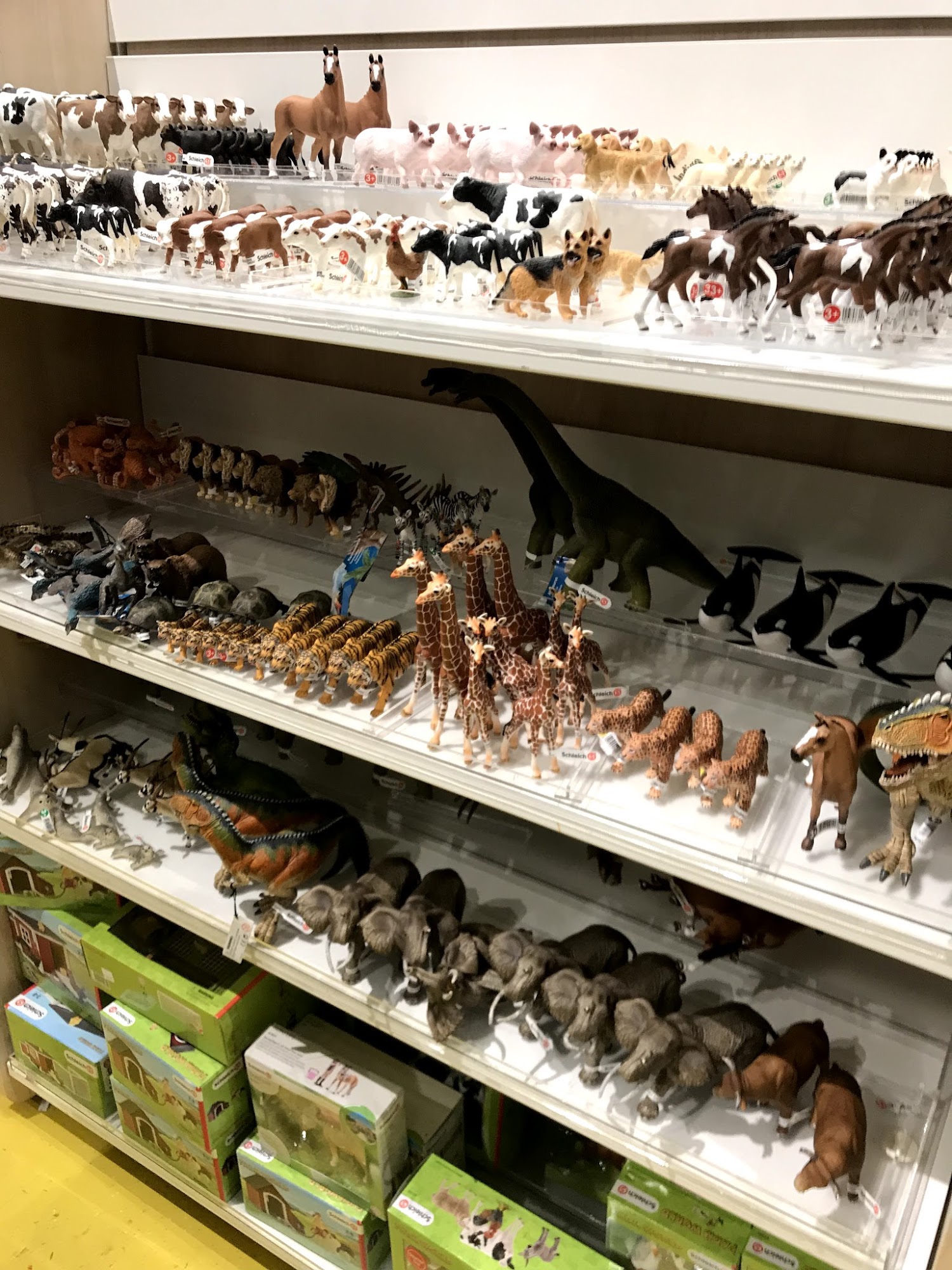 INDIGO - OSHAWA CENTRE - Oshawa ON - Hours, Directions, Reviews ...