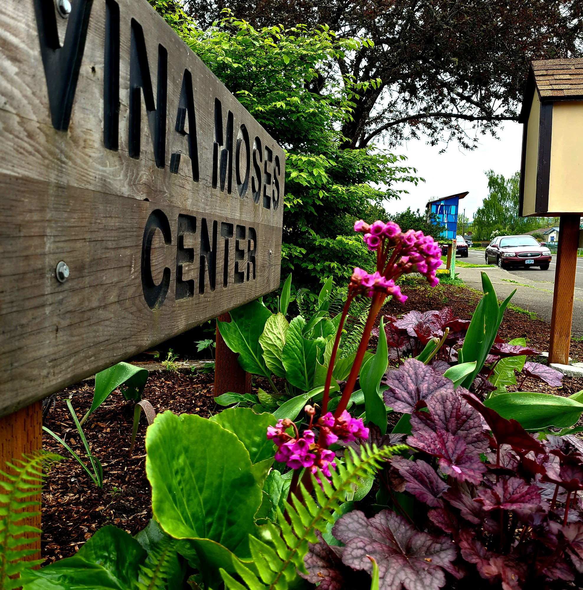 VINA MOSES CENTER - Corvallis OR - Hours, Directions, Reviews - Loc8NearMe