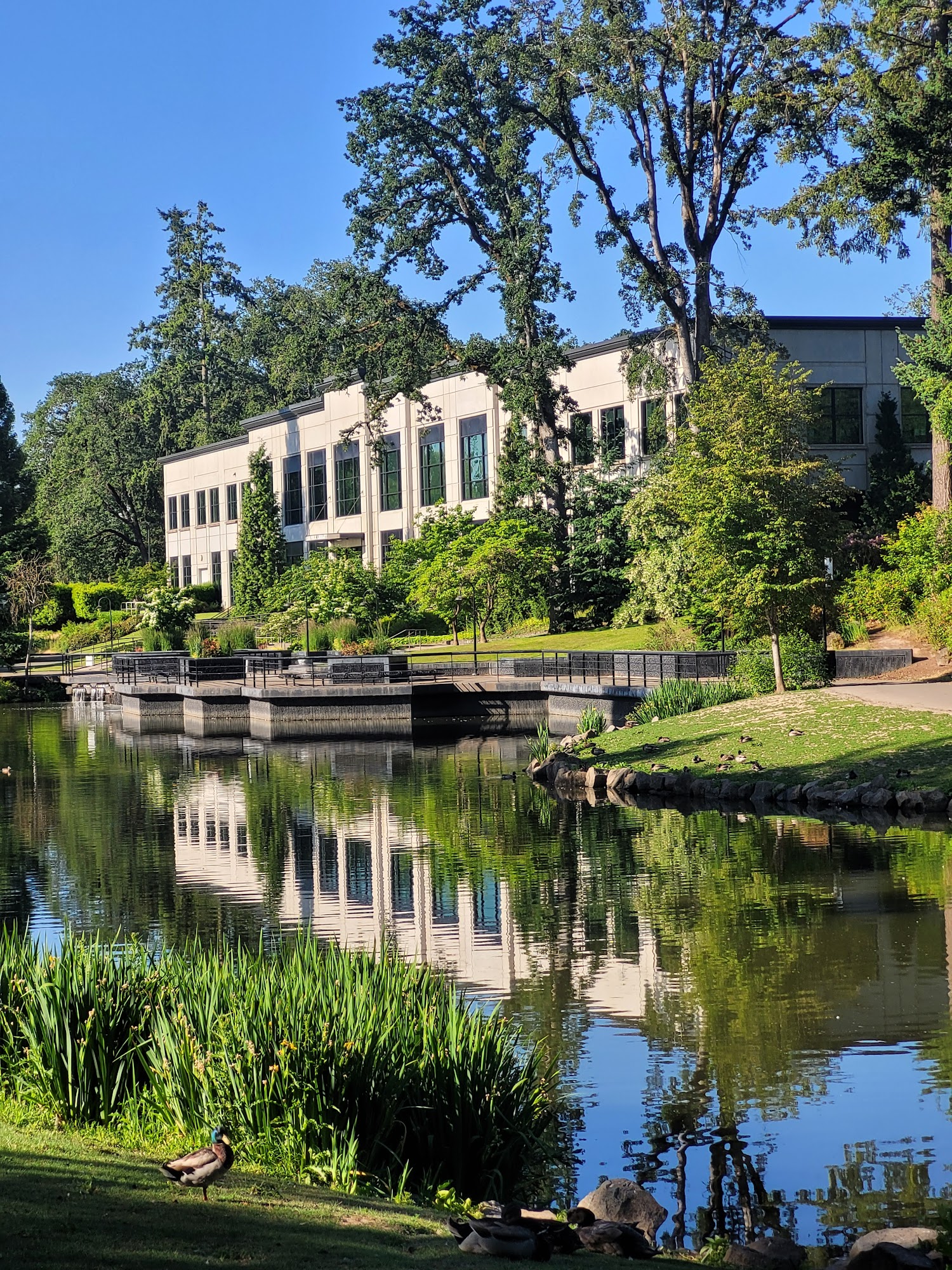 HILLSBORO BROOKWOOD LIBRARY - Hillsboro OR - Hours, Directions, Reviews ...