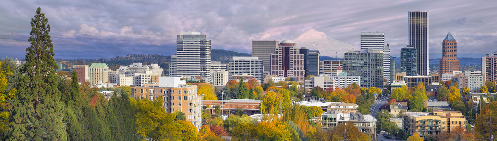 CLEARVIEW MRI BRIDGEPORT - Tigard OR - Hours, Directions, Reviews ...