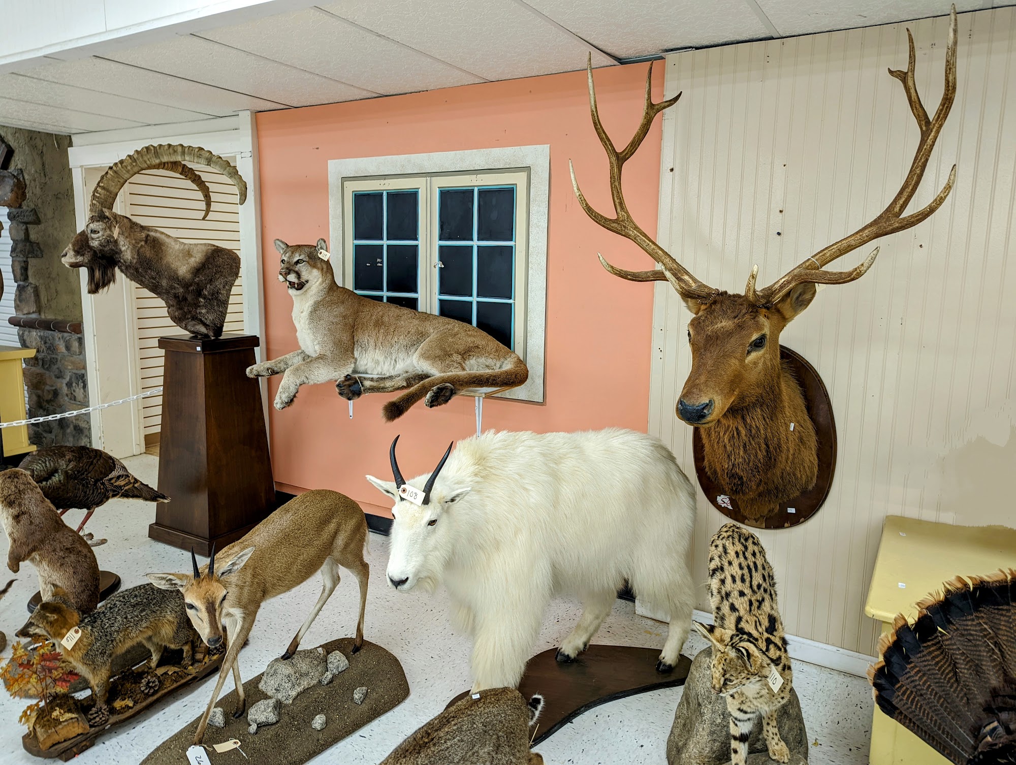 PA AUCTION CENTER - East Earl PA - Hours, Directions, Reviews - Loc8NearMe