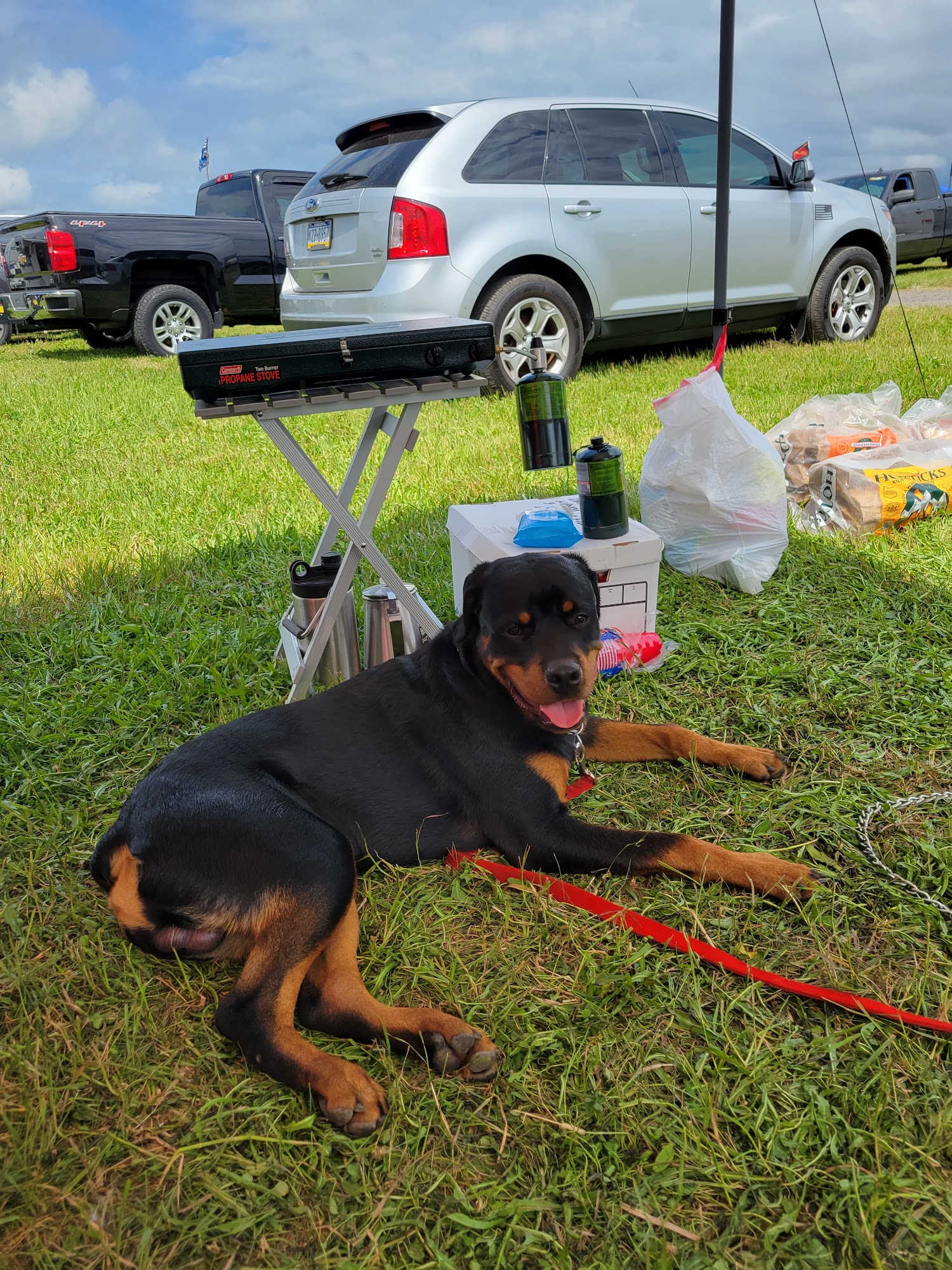 KIMBERTAL KENNELS - Phoenixville PA - Hours, Directions, Reviews ...