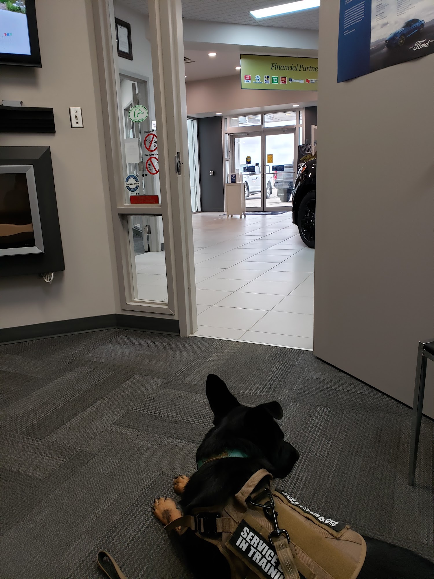 CENTENNIAL FORD SALES LTD - Watrous SK - Hours, Directions, Reviews ...