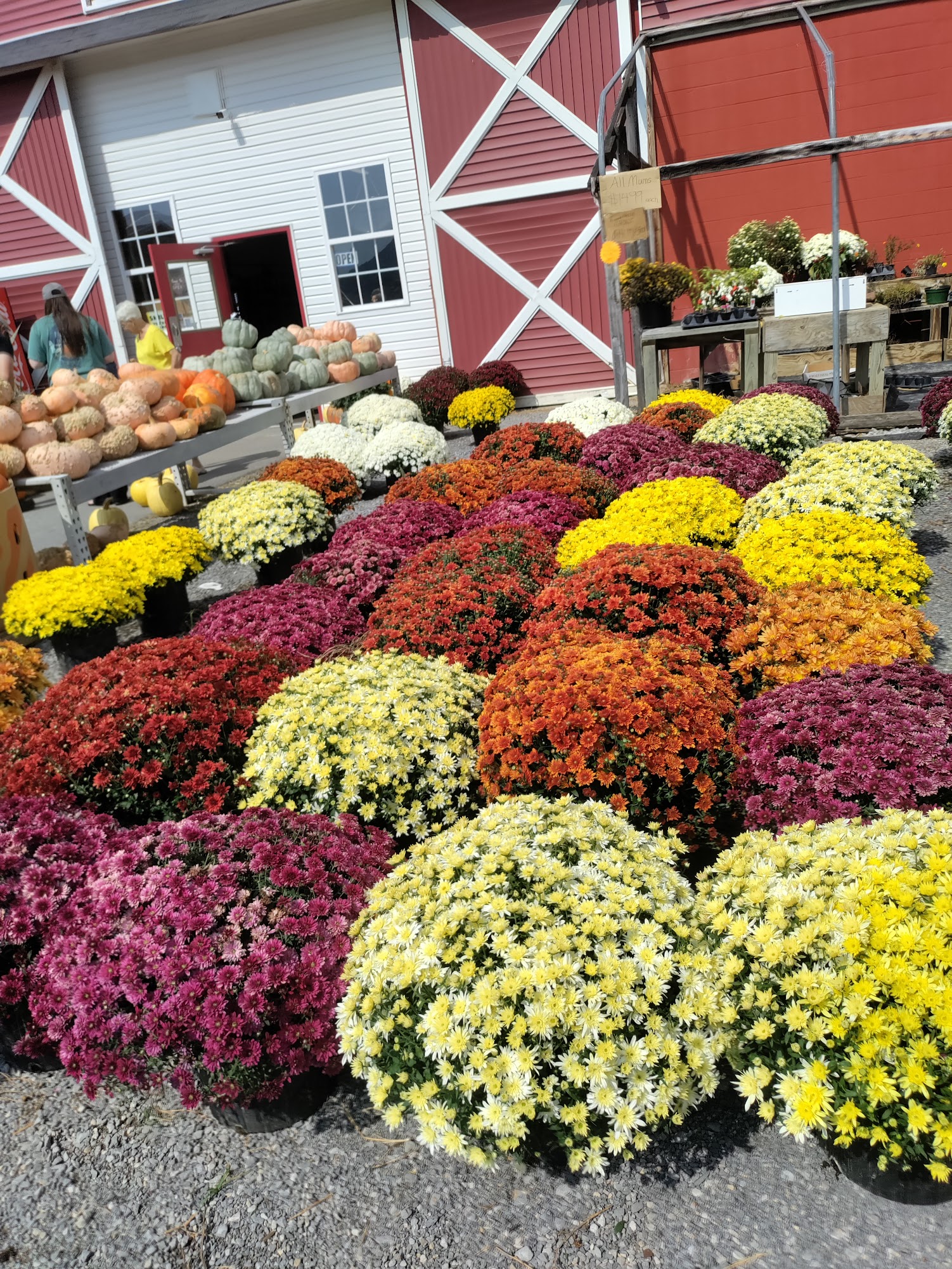 RED BARN PRODUCE - Rutledge TN - Hours, Directions, Reviews - Loc8NearMe