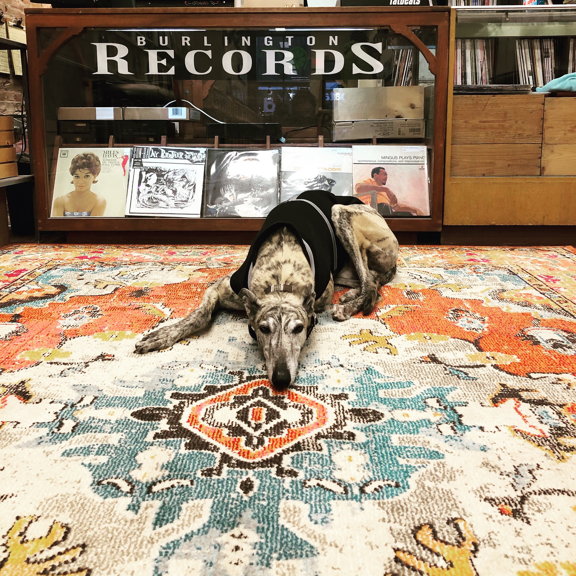 BURLINGTON RECORDS - Burlington VT - Hours, Directions, Reviews ...