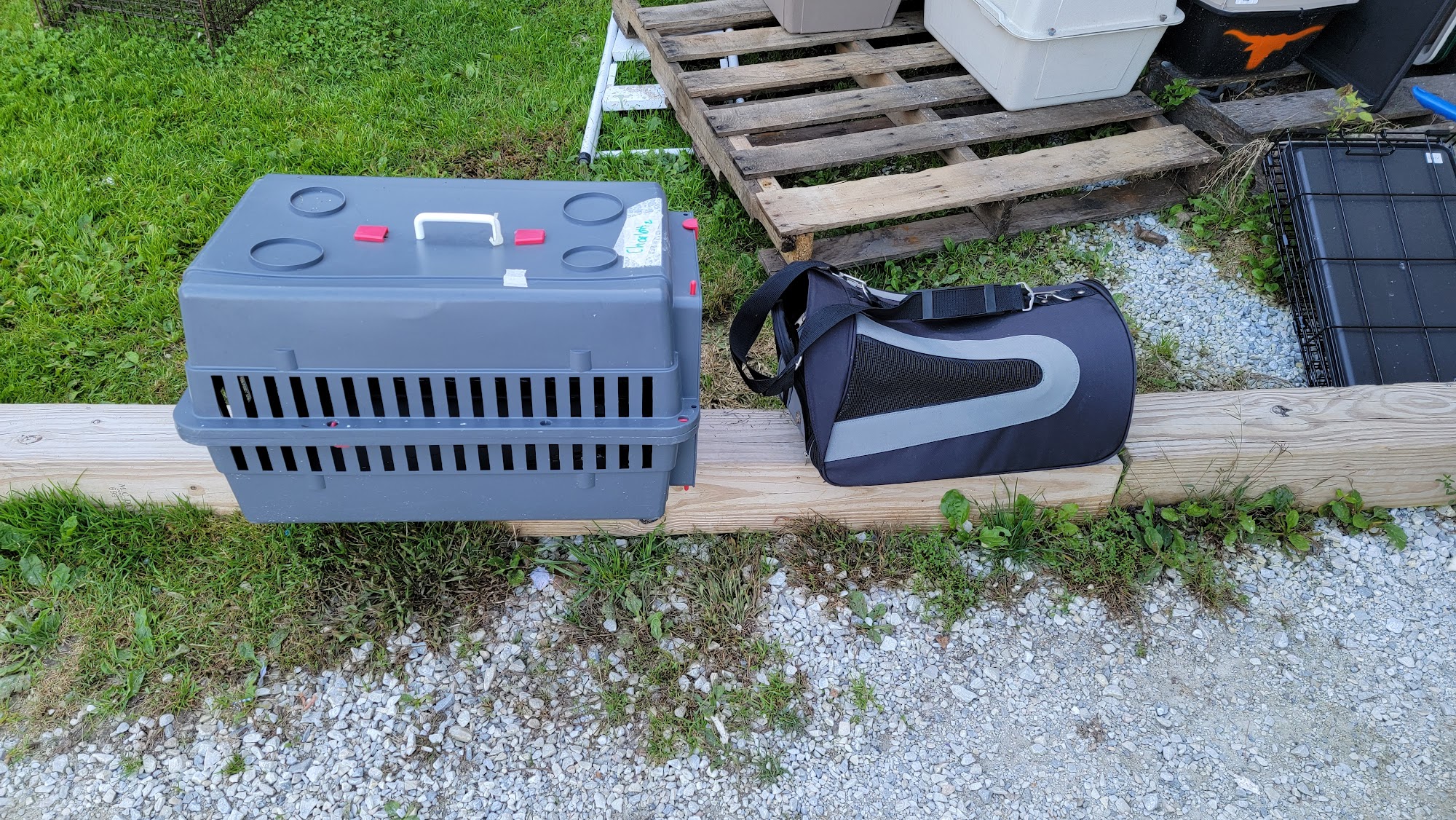 RUTLAND COUNTY HUMANE SOCIETY - Pittsford VT - Hours, Directions ...