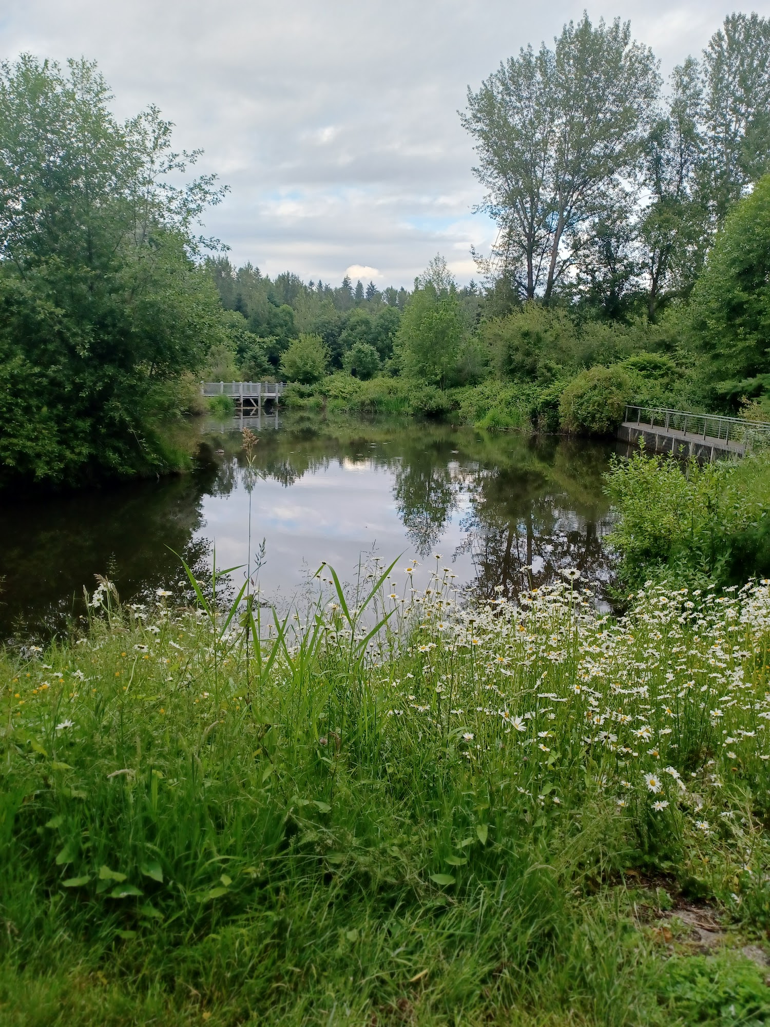 MEADOWBROOK POOL - Seattle WA - Hours, Directions, Reviews - Loc8NearMe