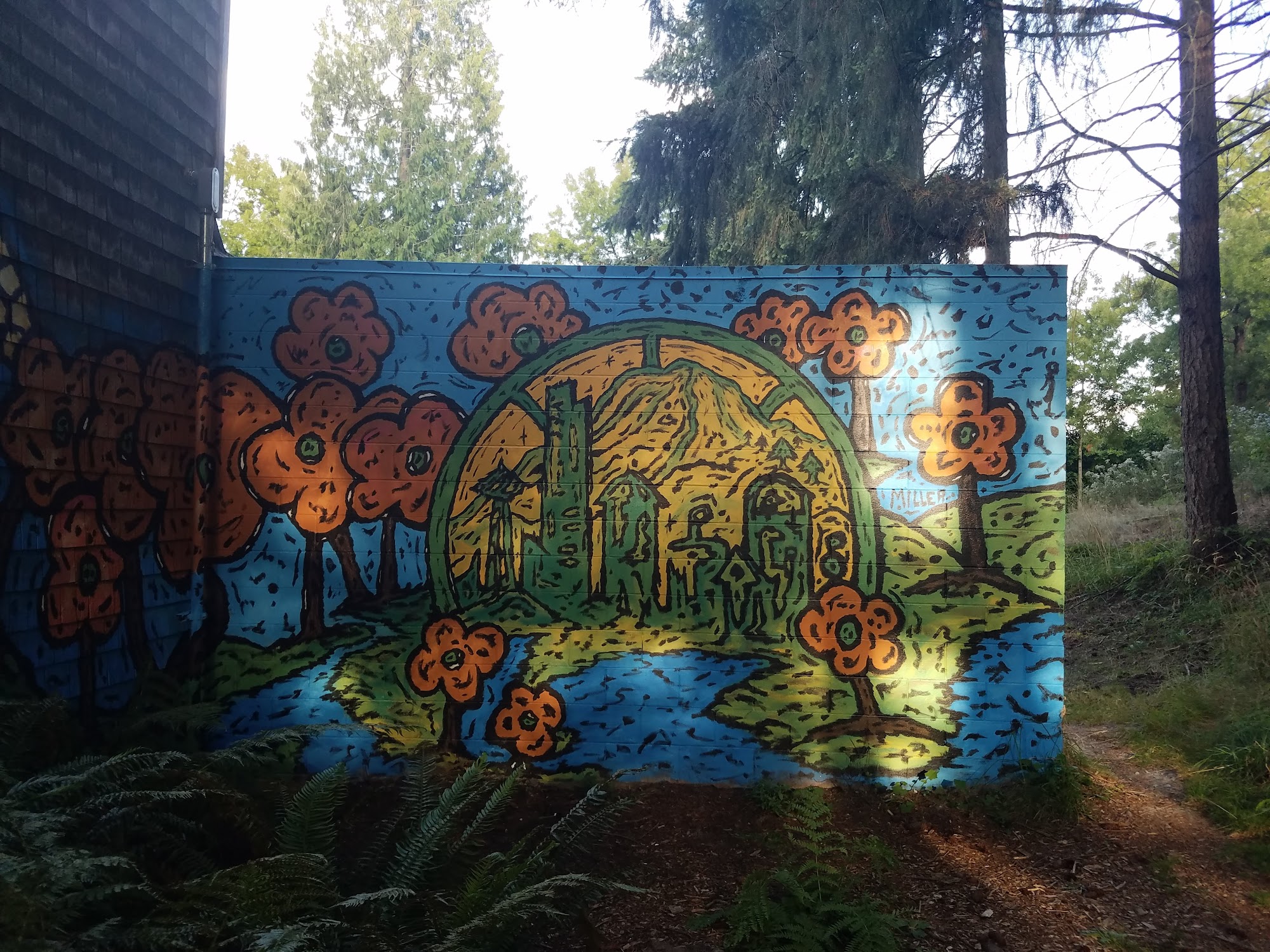 MEADOWBROOK POOL - Seattle WA - Hours, Directions, Reviews - Loc8NearMe