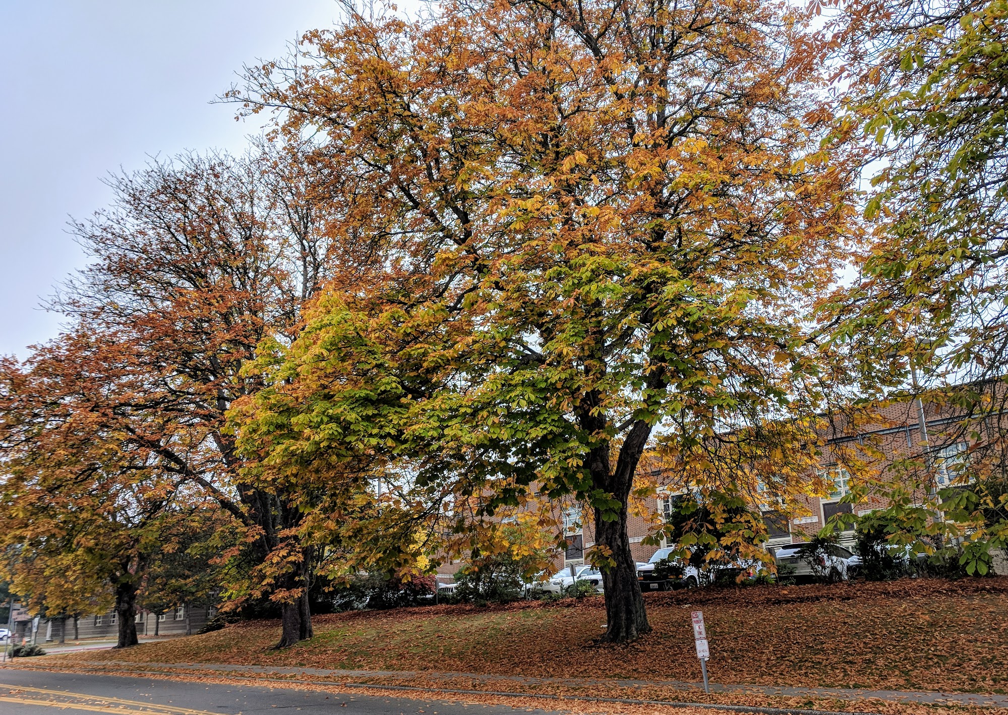 BALLARD POOL - Seattle WA - Hours, Directions, Reviews - Loc8NearMe