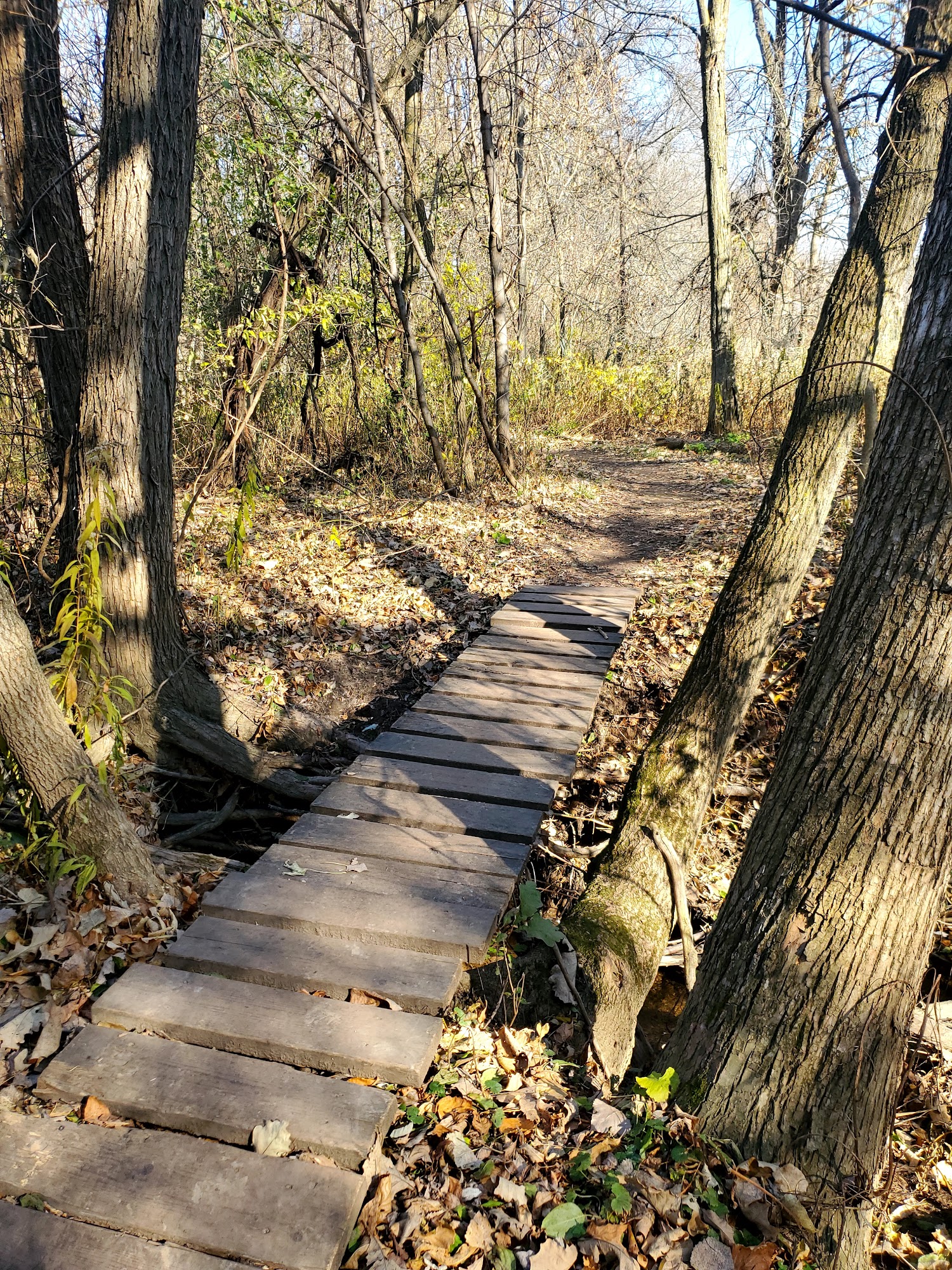 TRIANGLE SPORTS AREA - Green Bay WI - Hours, Directions, Reviews ...