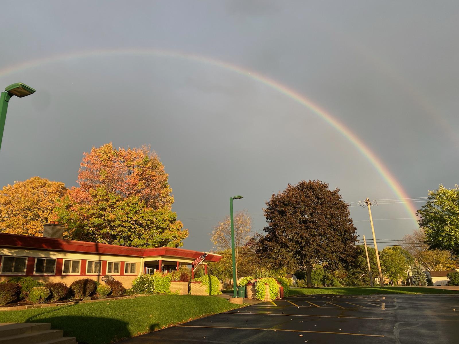 GREENDALE VILLAGE VET - Greendale WI - Hours, Directions, Reviews ...